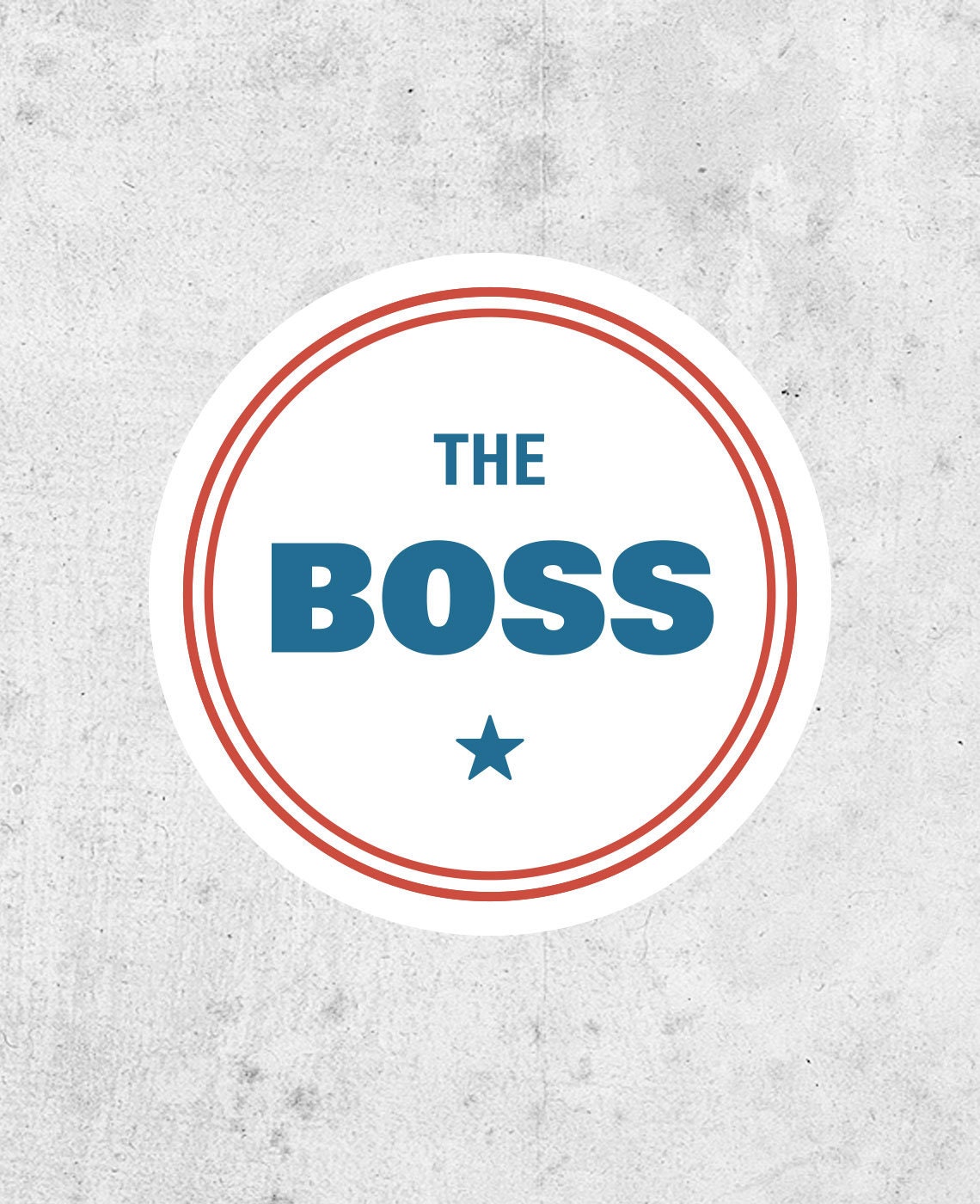 THE BOSS Sticker Bruce Springsteen Inspired Laptop Case - Etsy UK