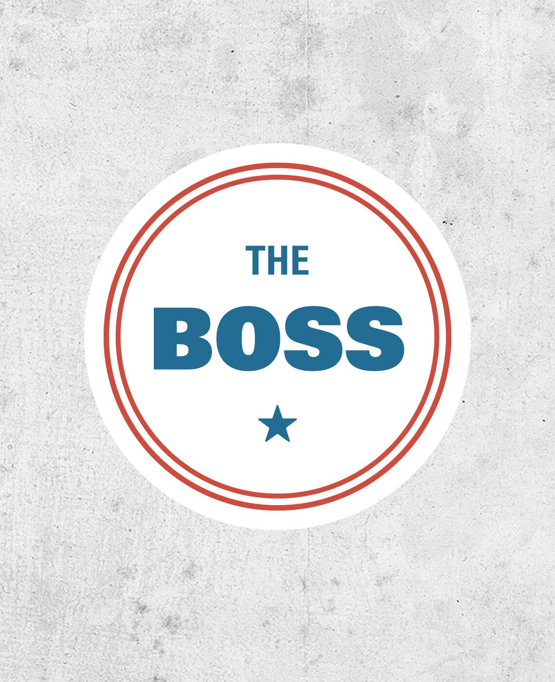 THE BOSS Sticker Bruce Springsteen Inspired Laptop Case - Etsy UK