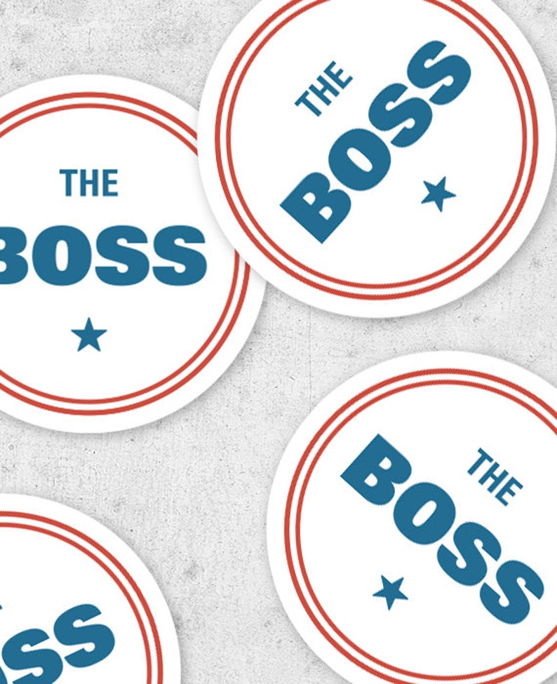 THE BOSS Sticker Bruce Springsteen Inspired Laptop Case - Etsy UK