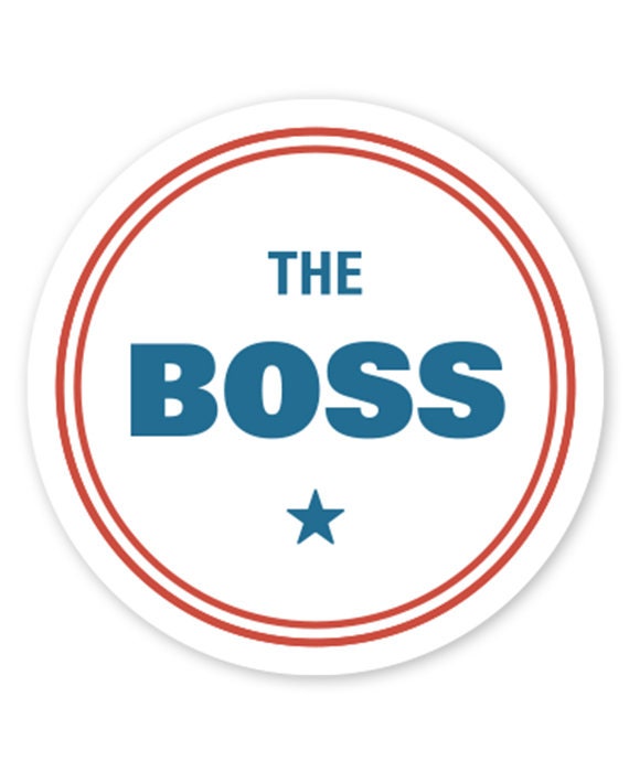 THE BOSS Sticker Bruce Springsteen Inspired Laptop Case - Etsy UK