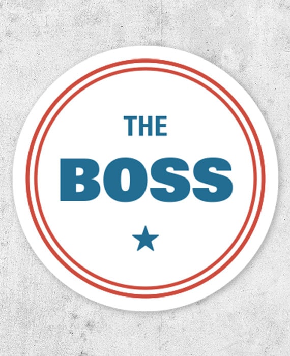 THE BOSS Sticker Bruce Springsteen Inspired Laptop Case - Etsy UK