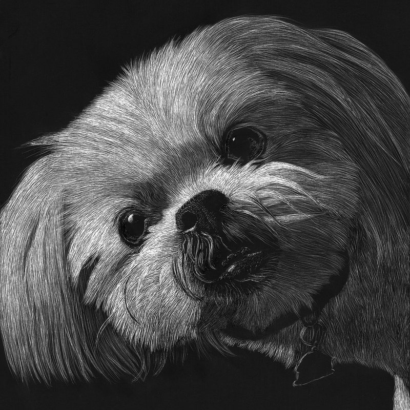 Scratchboard Animal Art - Etsy