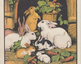 Vintage rabbit print | Etsy