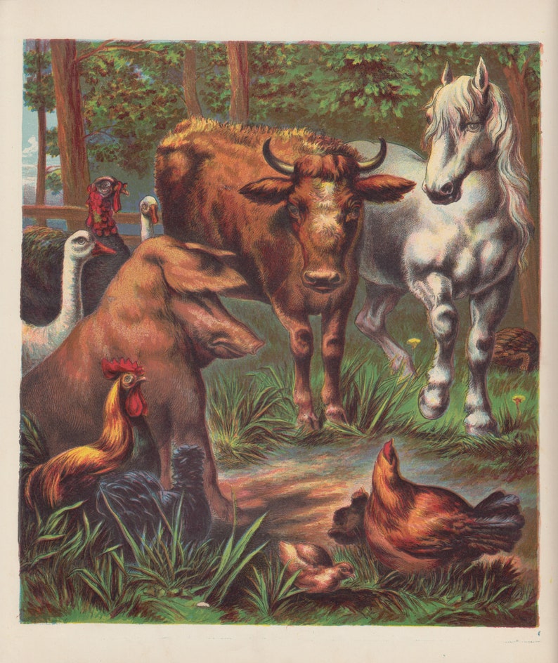 Pony Horse Chicken Hens Baby Chicks Rooster Cow Pig Geese - Etsy