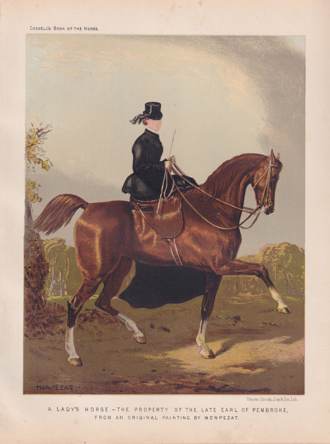 Early Equestrian Lady Riding Horse Sidesaddle Side Saddle Equine Horse ...