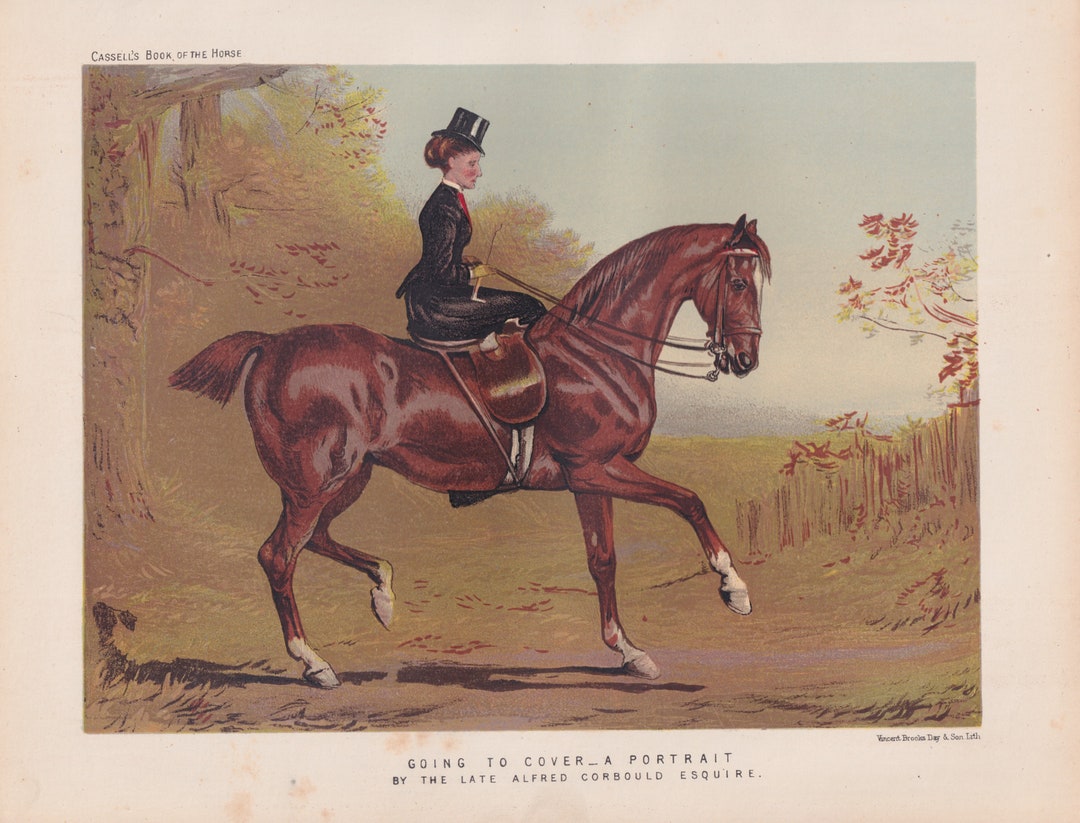 Antique Horse Lithograph Equestrian Lady Riding Horse Sidesaddle Side ...