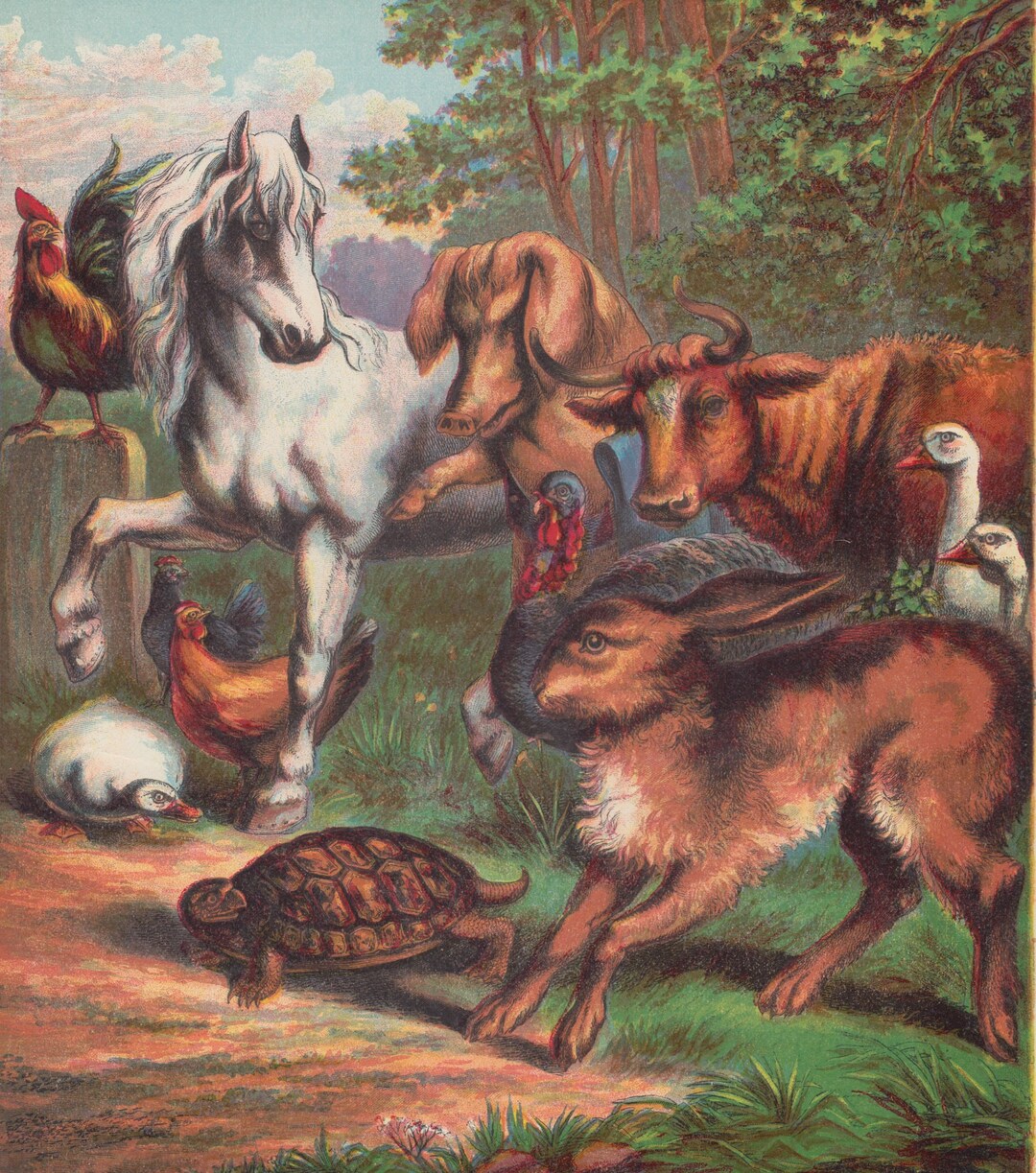 White Pony Horse Rabbit Rooster & Chicken Hens Tortoise Pig - Etsy