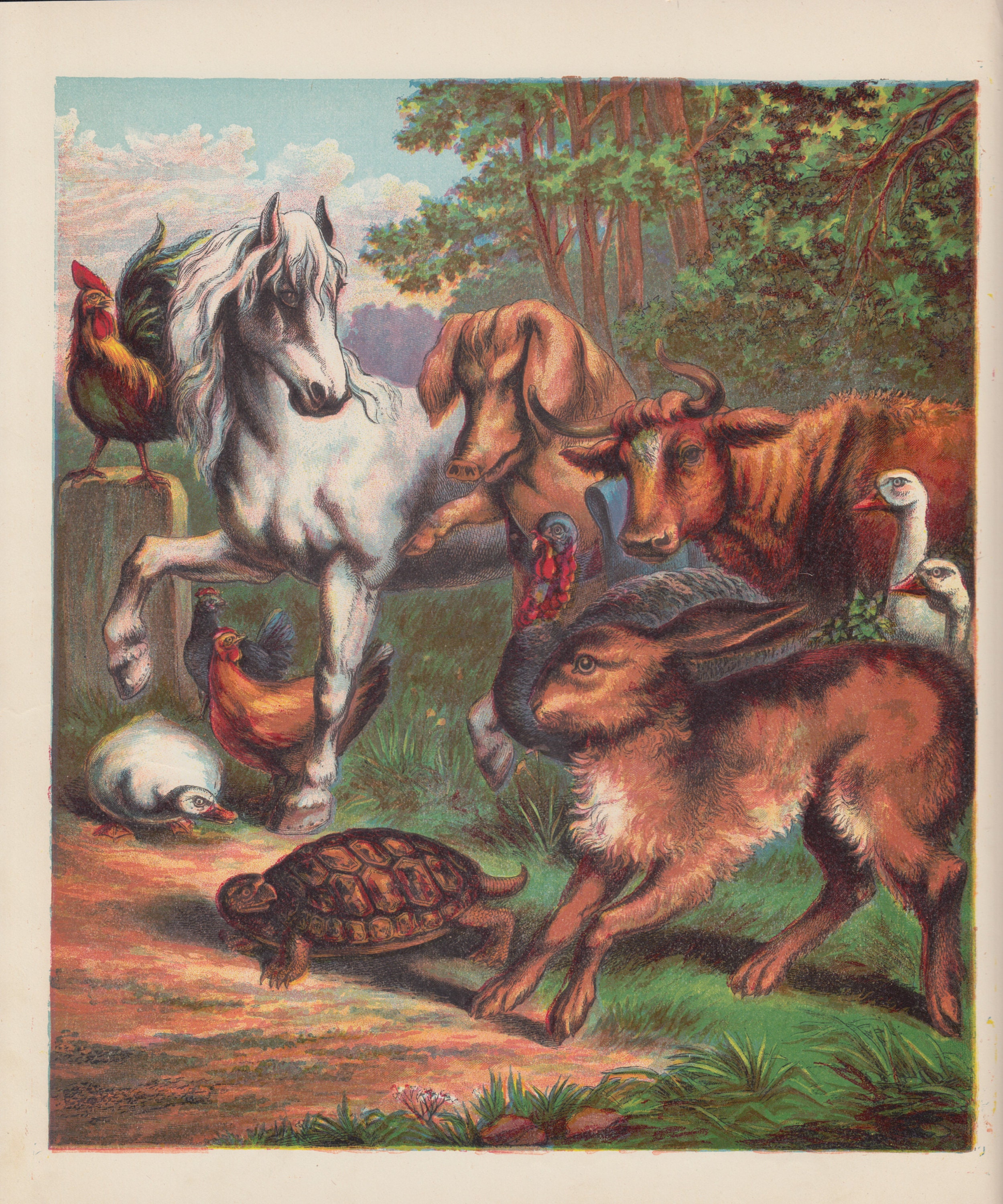 White Pony Horse Rabbit Rooster & Chicken Hens Tortoise Pig - Etsy