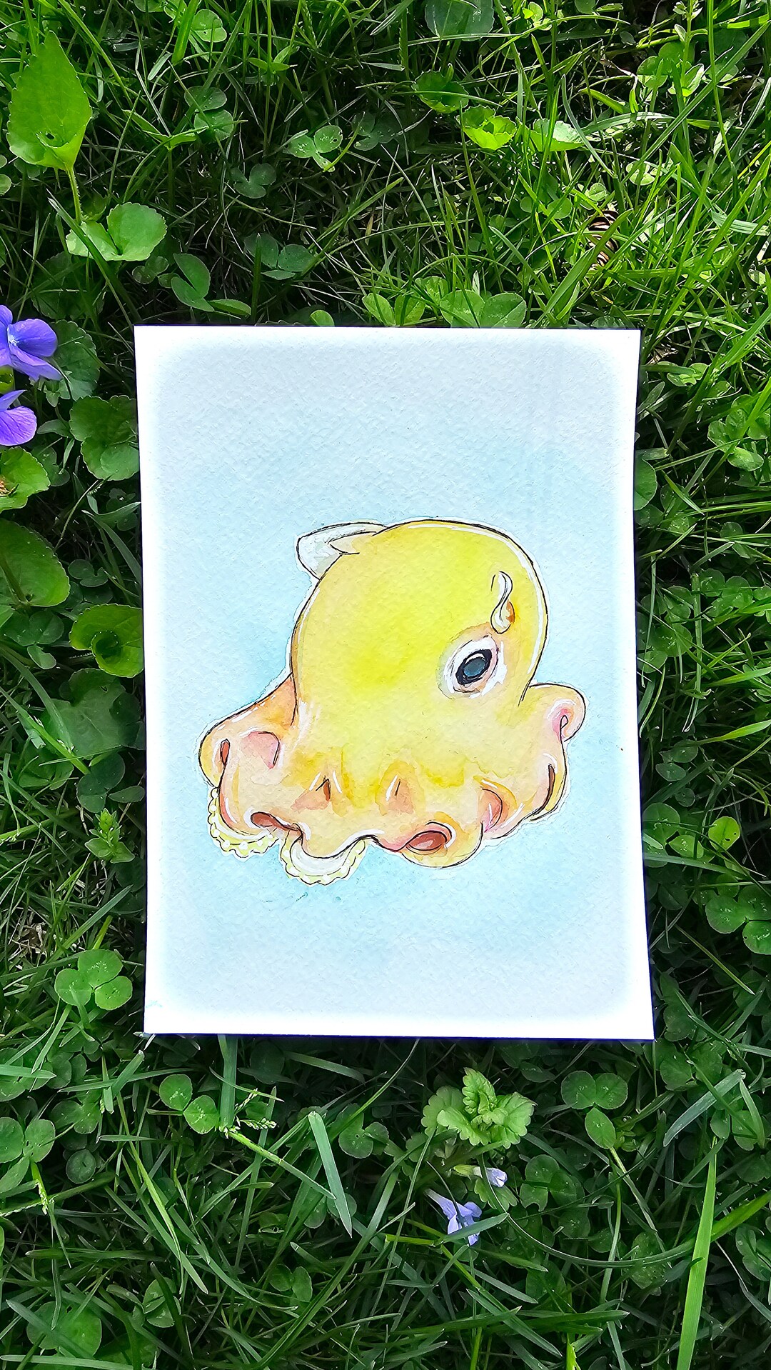 Dumbo Octopus Illustration, Sea Creature Ocean Colorful Original Art ...