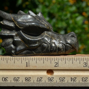 Iron Pyrite Dragon, Pyrite Dragon, Dragon Head, Dragon Skull, Dragon ...
