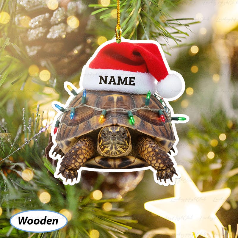 Tortoise Outdoor Ornament - Etsy