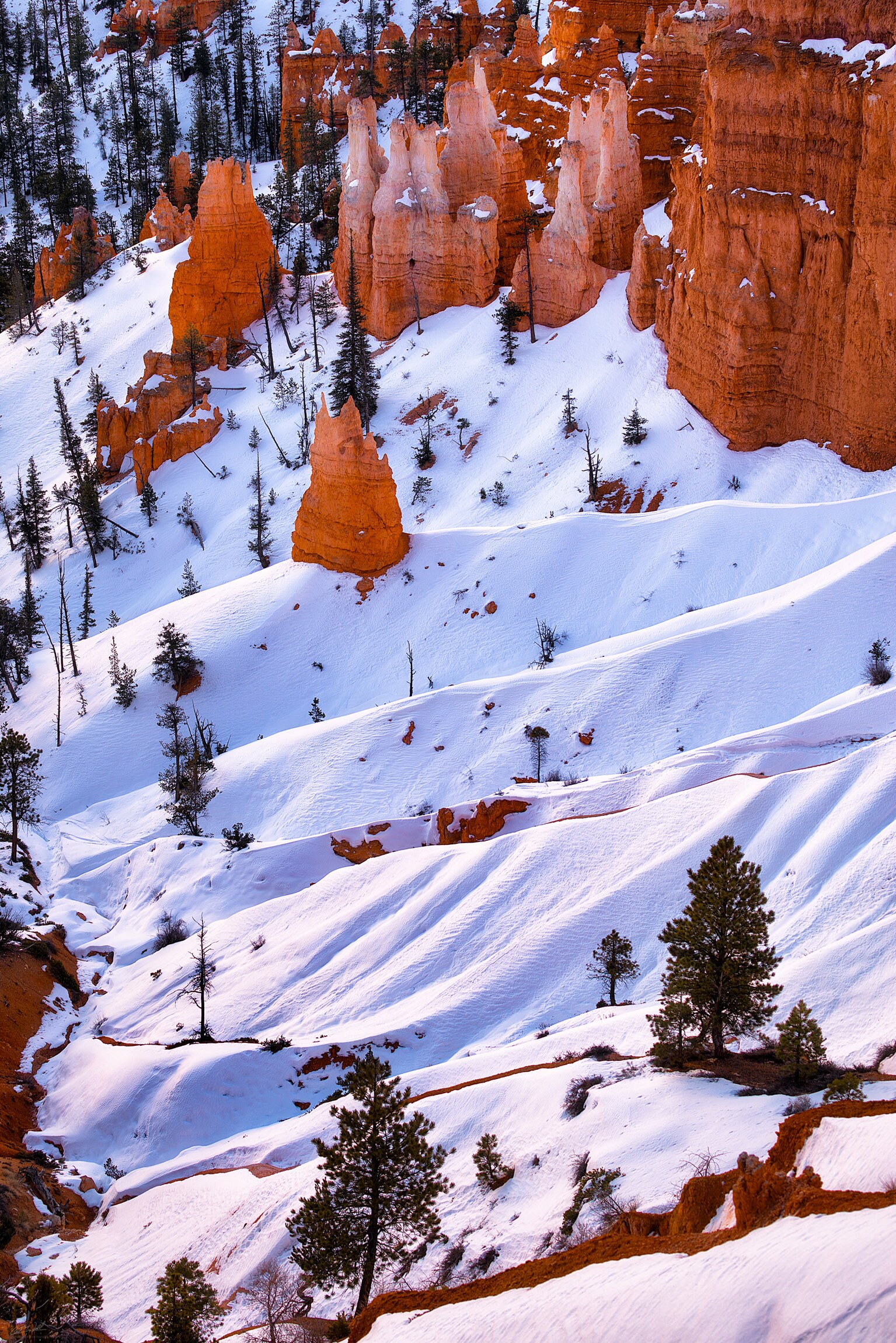 The Spire, Bryce Canyon, Bryce, Desert, Hoodoos, Hoodoo, Sunrise ...