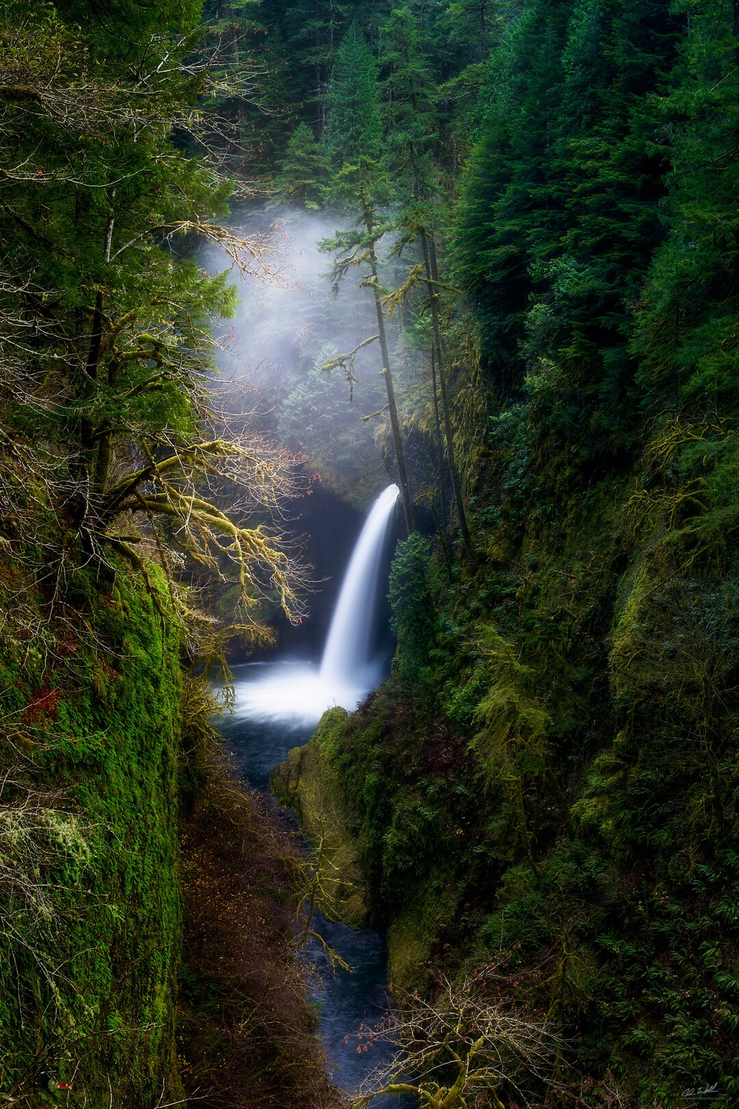 Metlako Mood, Waterfalls, Waterfall, Forest, Oregon, Wall Art ...