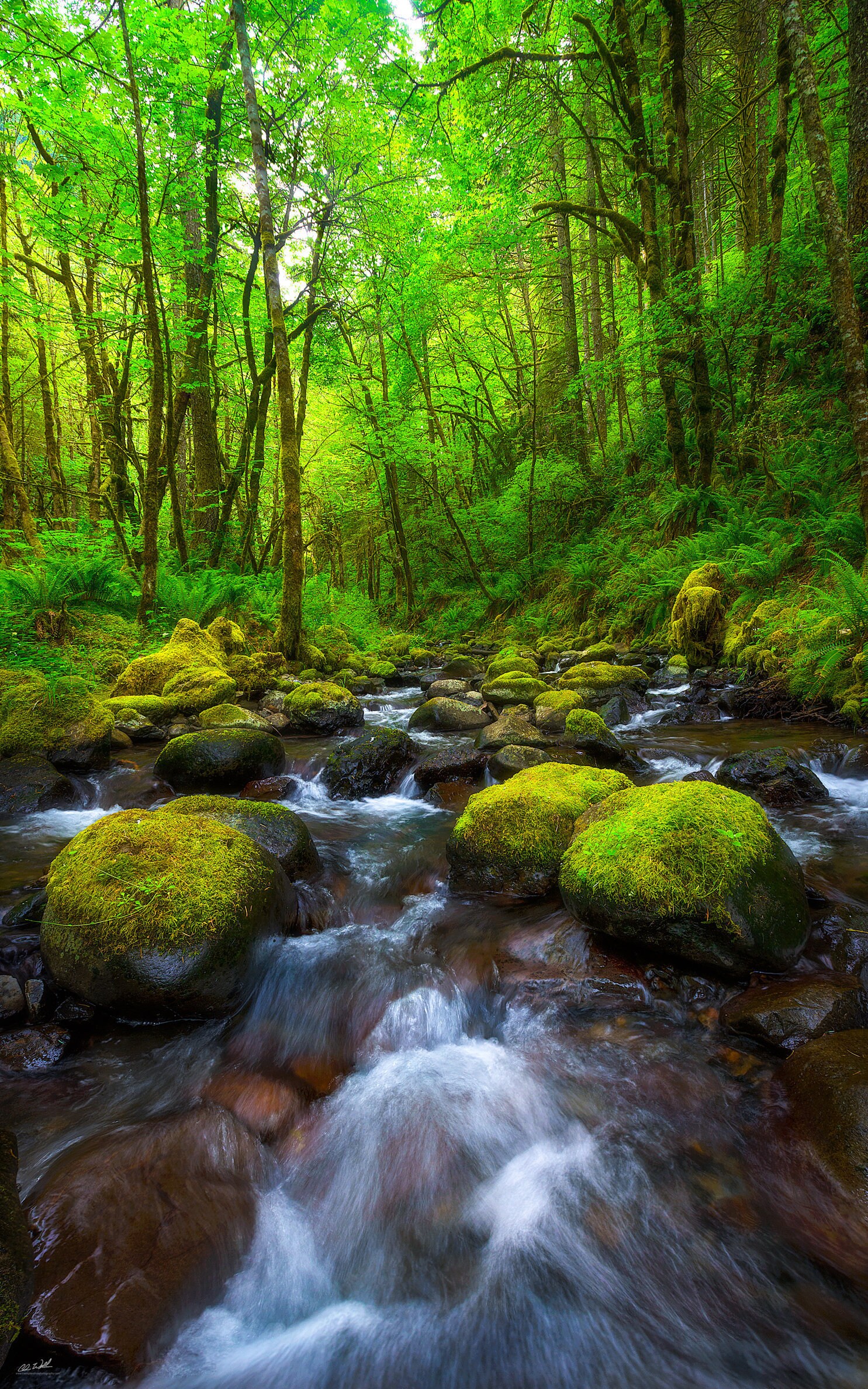 Hourglass, Waterfall, Waterfalls, Spring, Oregon, Columbia River Gorge ...