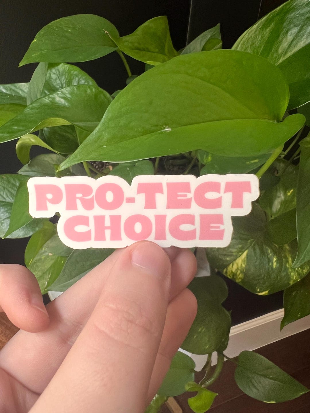 Protect Choice Matte Sticker | Pro Roe Sticker | Women’s Rights Sticker ...
