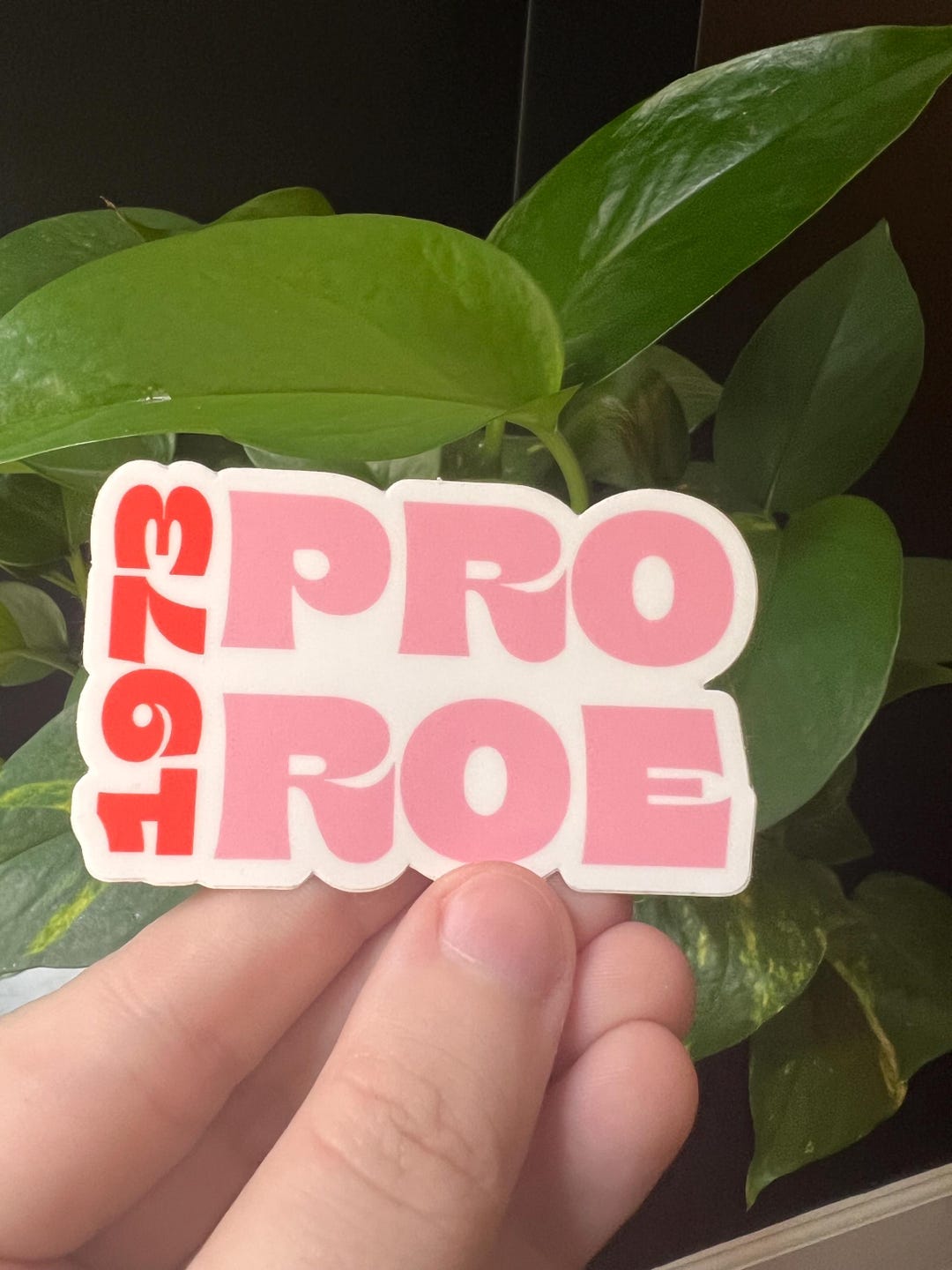 Pro Roe Vinyl Sticker: Waterproof Laptop Decal (3" X 1.81") - Etsy
