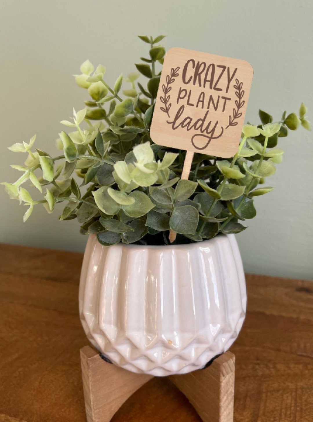Funny Plant Marker, Crazy Plant Lady, Engraved Wood Plant Stake, Funny ...