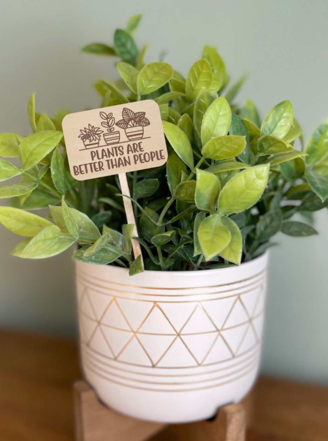 Funny Plant Marker, Plants Are Better Than People, Engraved Plant Stake ...