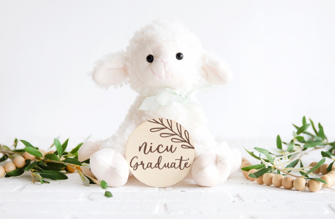 NICU Graduate, Coming Home Announcement, Milestone Sign, NICU Plaque ...