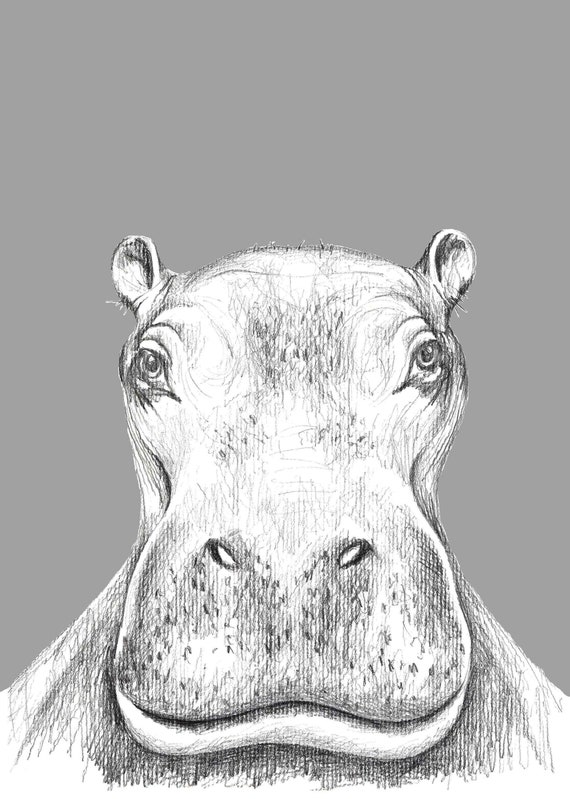 Hippo Illustration Kids Illustration Animals Illustration | Etsy