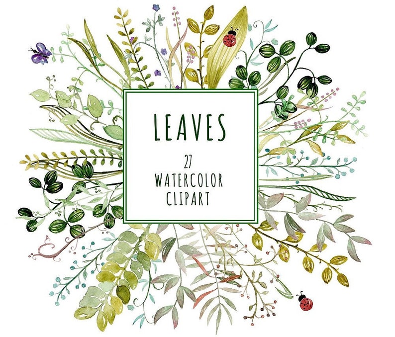Handpainted Watercolor Floral Leaves Leaf Digital Clip - Etsy