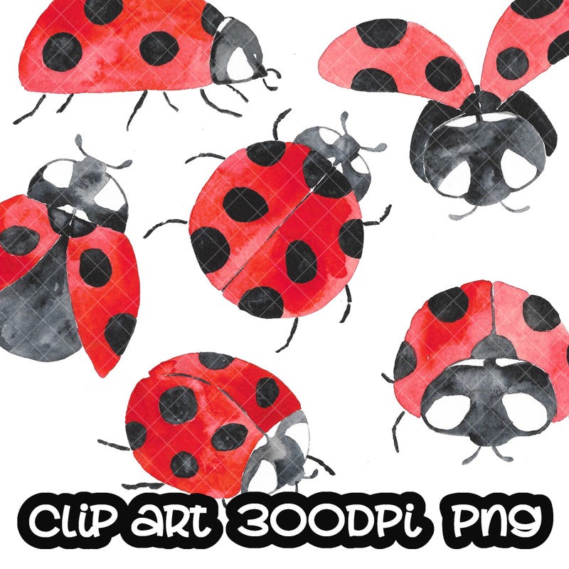 Lady Bug Clip Art - Etsy