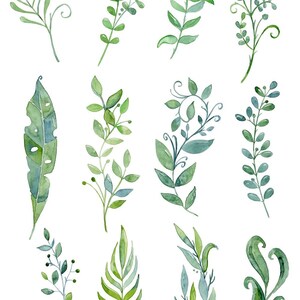 Handpainted Watercolor, Floral, Leaves, Leaf, Digital Clipart, Cards ...