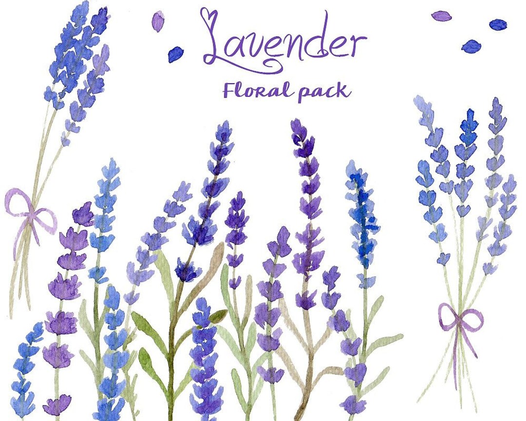 Lavender Handpainted Watercolor, Flowers, Floral, Bouquet, Digital Clip ...