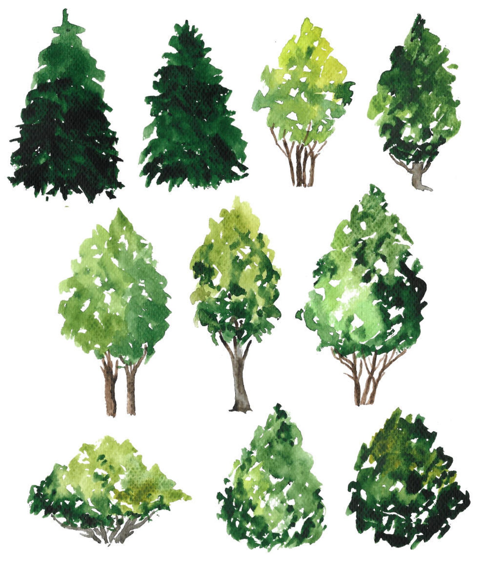 Tree Trees Handpainted Watercolor Woodland Forest Floral - Etsy