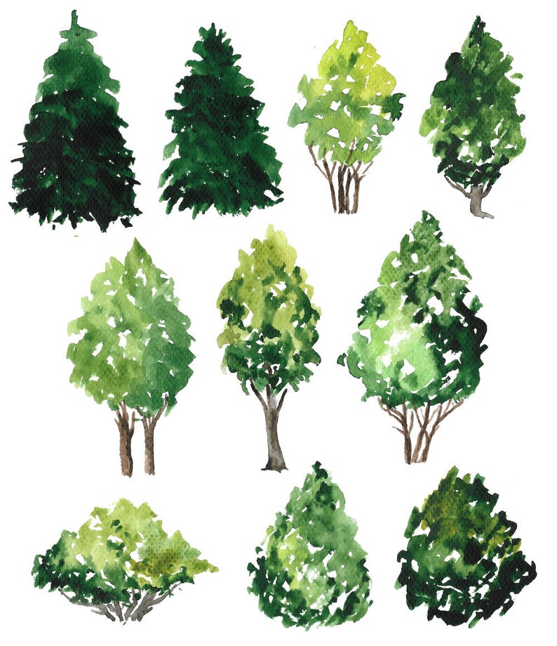 Tree Trees Handpainted Watercolor Woodland Forest Floral - Etsy