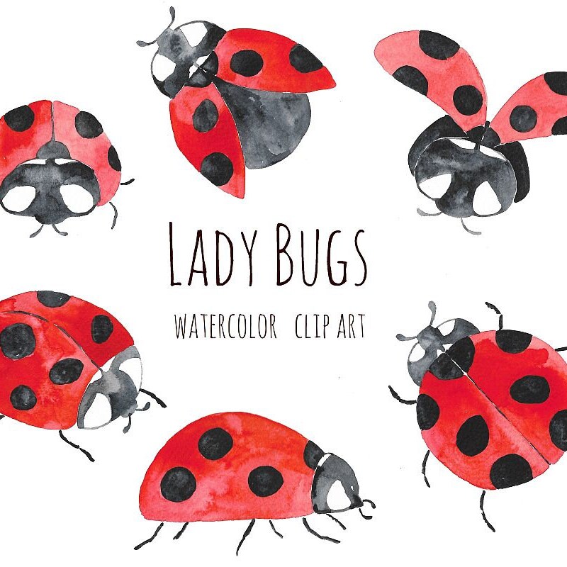 Lady Bug Clip Art - Etsy