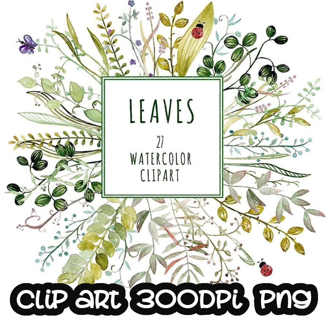 Handpainted Watercolor, Floral, Leaves, Leaf, Digital Clip Art, Cards ...
