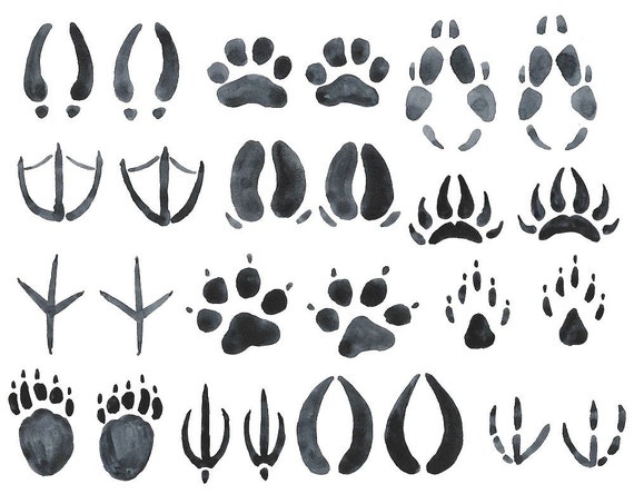 Animal Footprints Clip Art