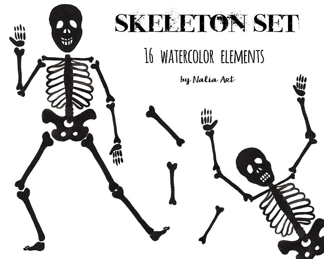 Halloween Skeleton, Bone, Bones, Handpainted Watercolor, Digital ...