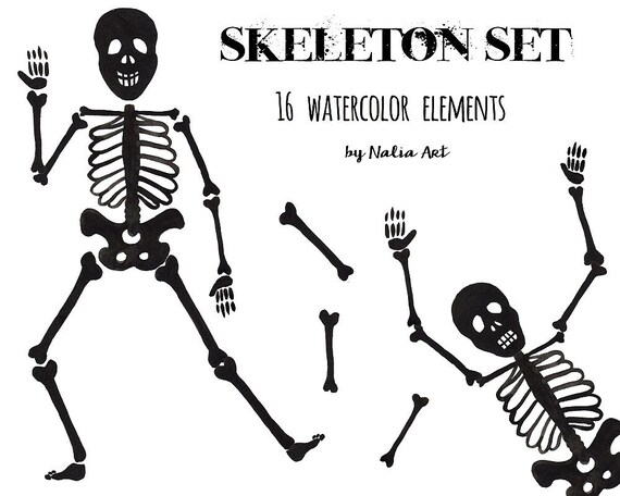 Halloween Skeleton Bones