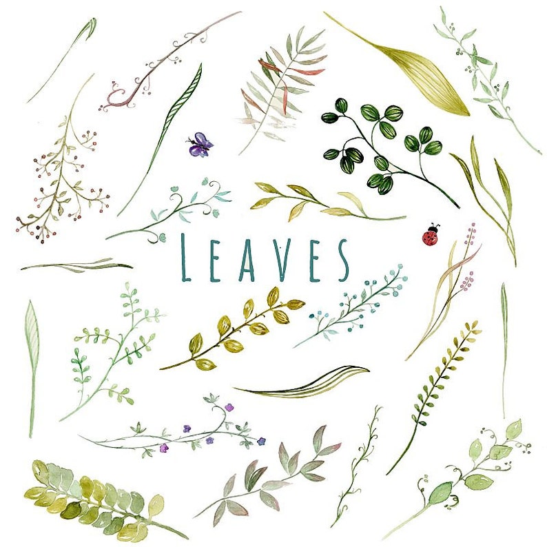 Handpainted Watercolor Floral Leaves Leaf Digital Clip - Etsy