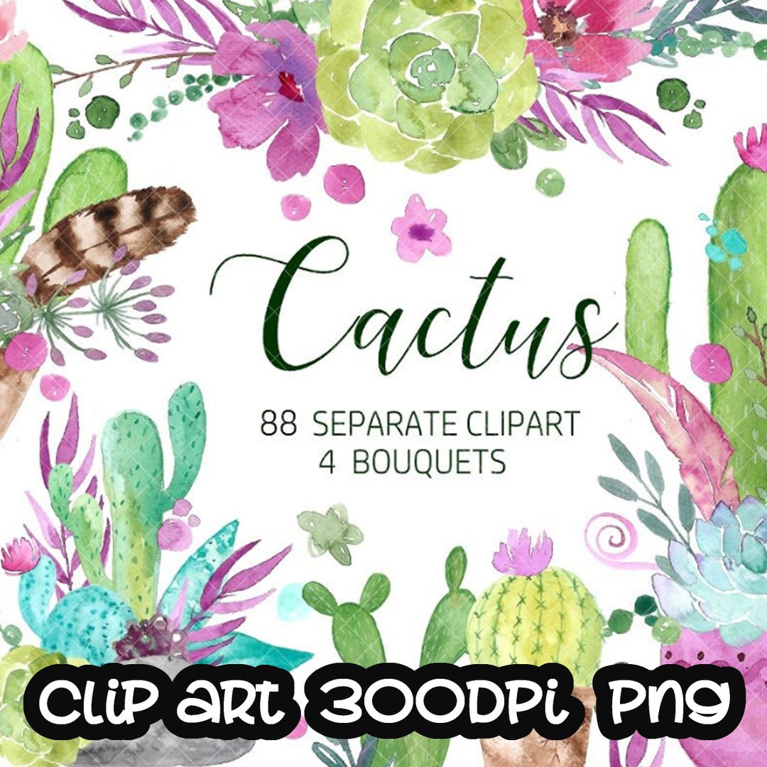 Handpainted Watercolor Cactus, Cacti Succulents, Plants, Floral ...