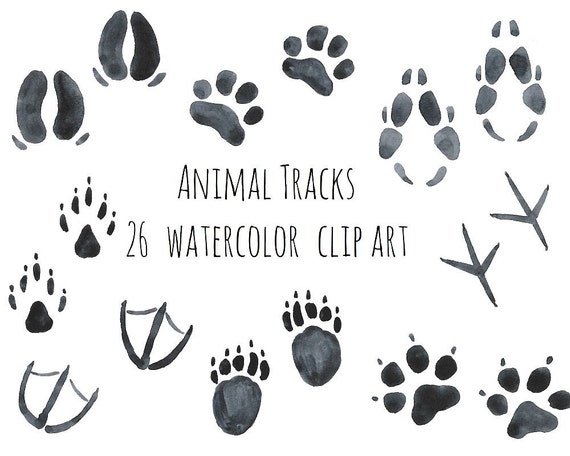 Animal Foot Prints Clip Art