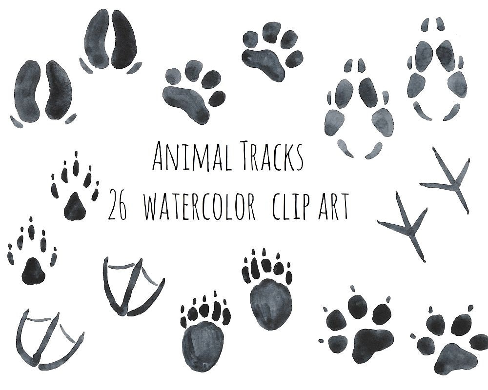 Animal Tracks Clipart