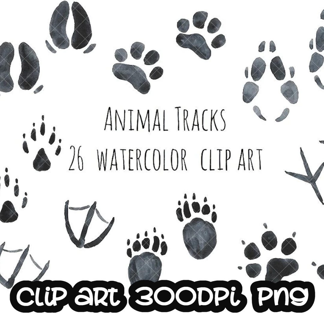 Animal Tracks Nature Clip Art Handpainted Watercolor Clip Art INSTANT ...