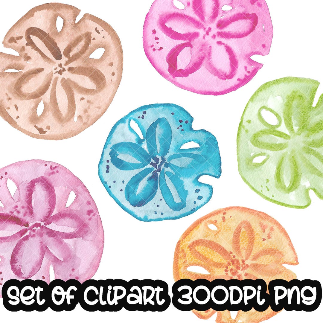 Sand Dollar Clip Art