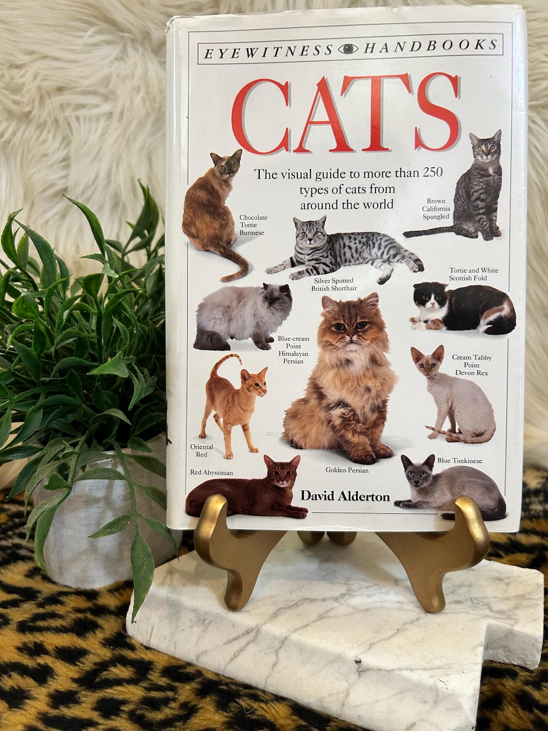 Eyewitness Handbook of Cats: Visual Guide to Cat Breeds - Etsy
