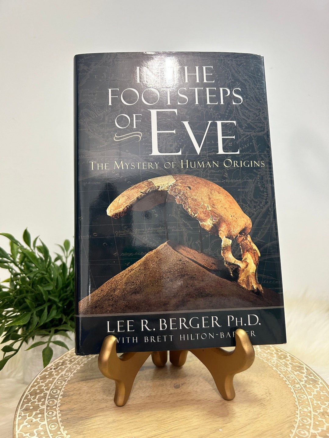 In the Footsteps of Eve: Human Origins Hardcover Book - Etsy