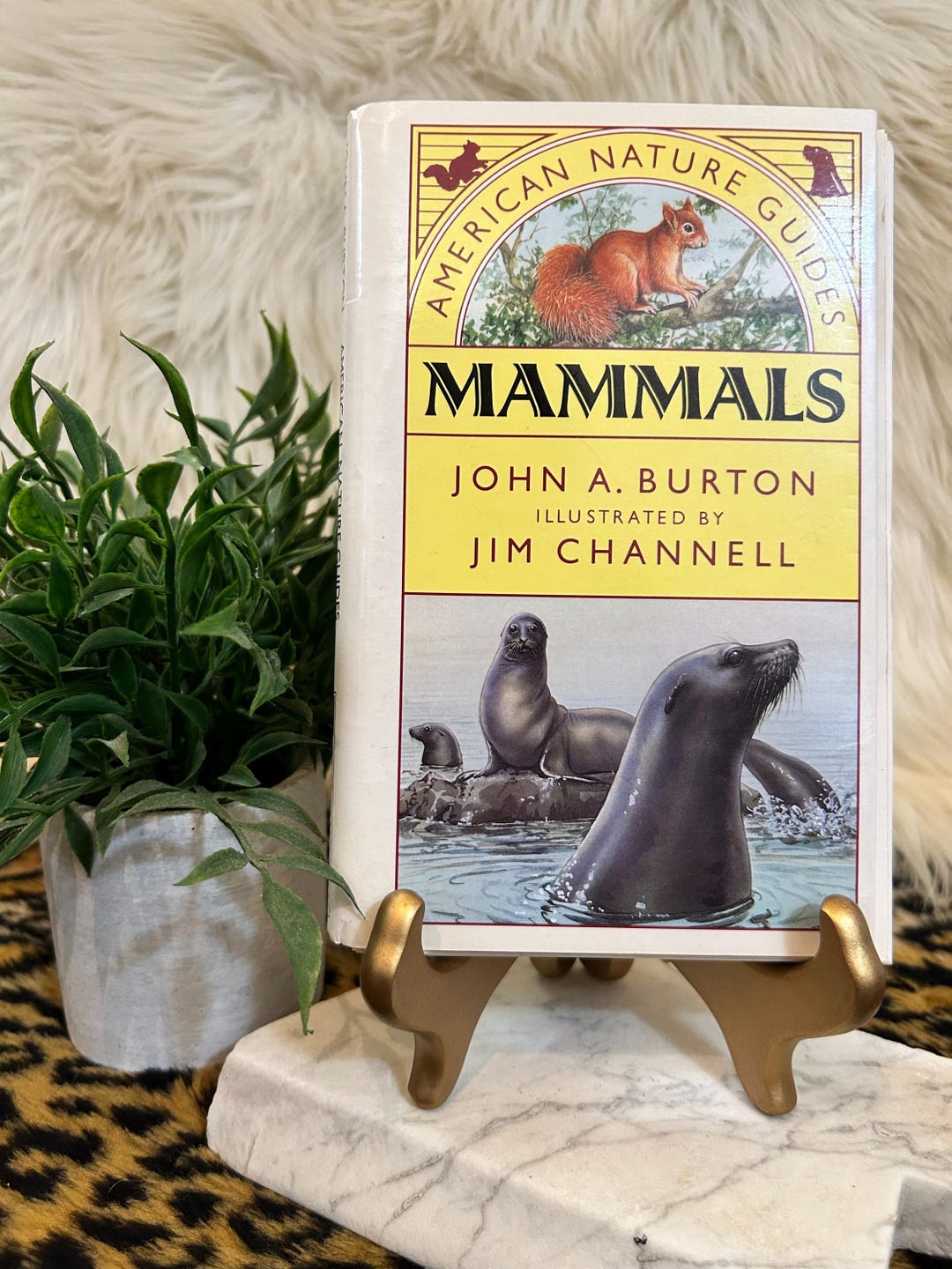 American Nature Guides Mammals by John A. Burton Illustrated by Jim ...