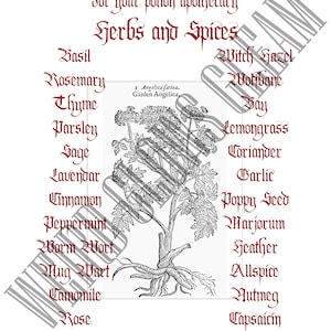 Hocus Pocus Spell Pages Volume 3 - Etsy