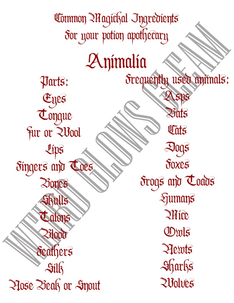 Hocus Pocus Spell Pages Volume 3 - Etsy