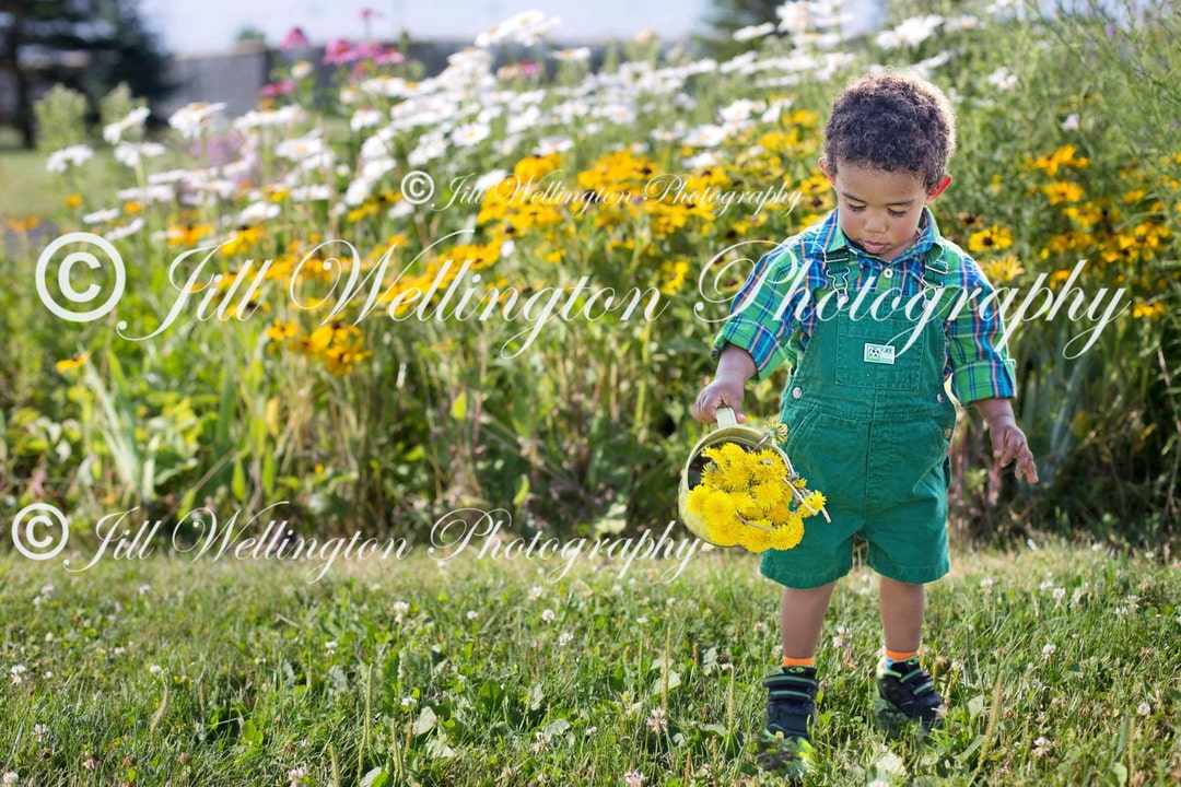 Digital Garden Background for Child, Adult, Kid, Toddler, Baby Photo ...