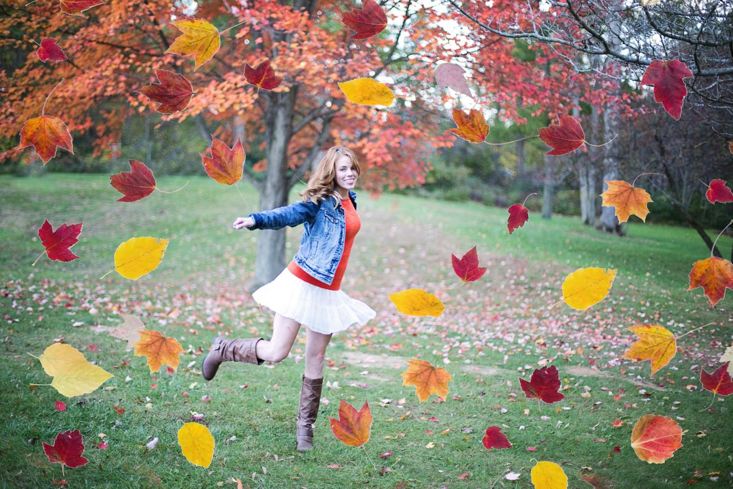 Hojas de otoño Overlay DIGITAL cayendo, png para fotógrafos, fotografía ...