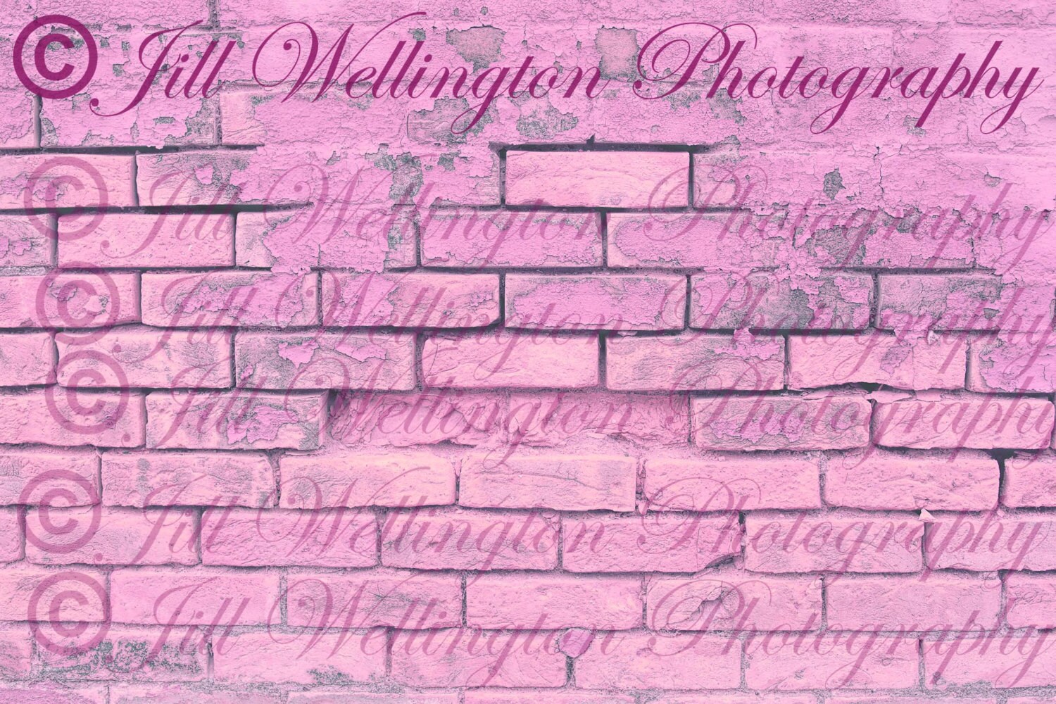 DIGITAL Brick Wall Pink Background Backdrop Photo - Etsy