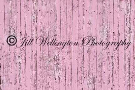Pink DIGITAL Barn Wood Wall Background Backdrop for Photography - Etsy